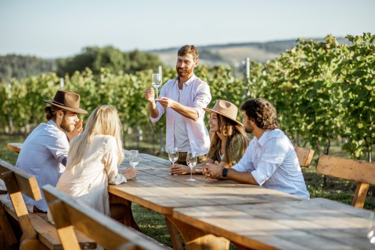 What are the different types of tours? | Europe Wine Guides
