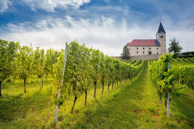 5 Hidden Gem Wine Regions in Europe | Europe Wine Guides